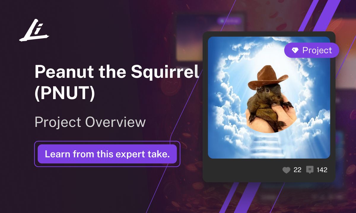 Peanut The Squirrel Coin Review (Memecoin's Virality Explained)