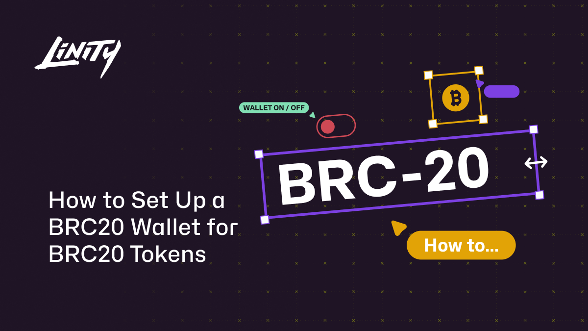 How to Set Up a BRC20 Wallet for BRC20 Tokens