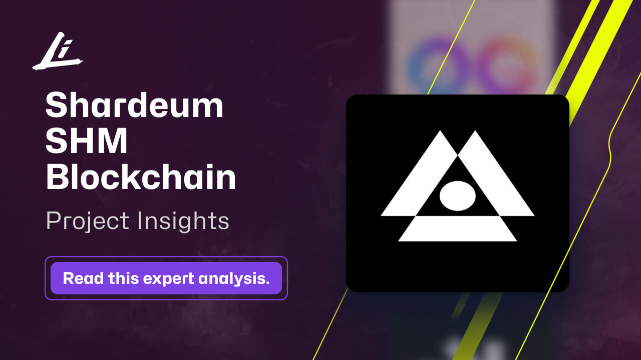 Shardeum SHM Blockchain Project Review + Airdrop Guide